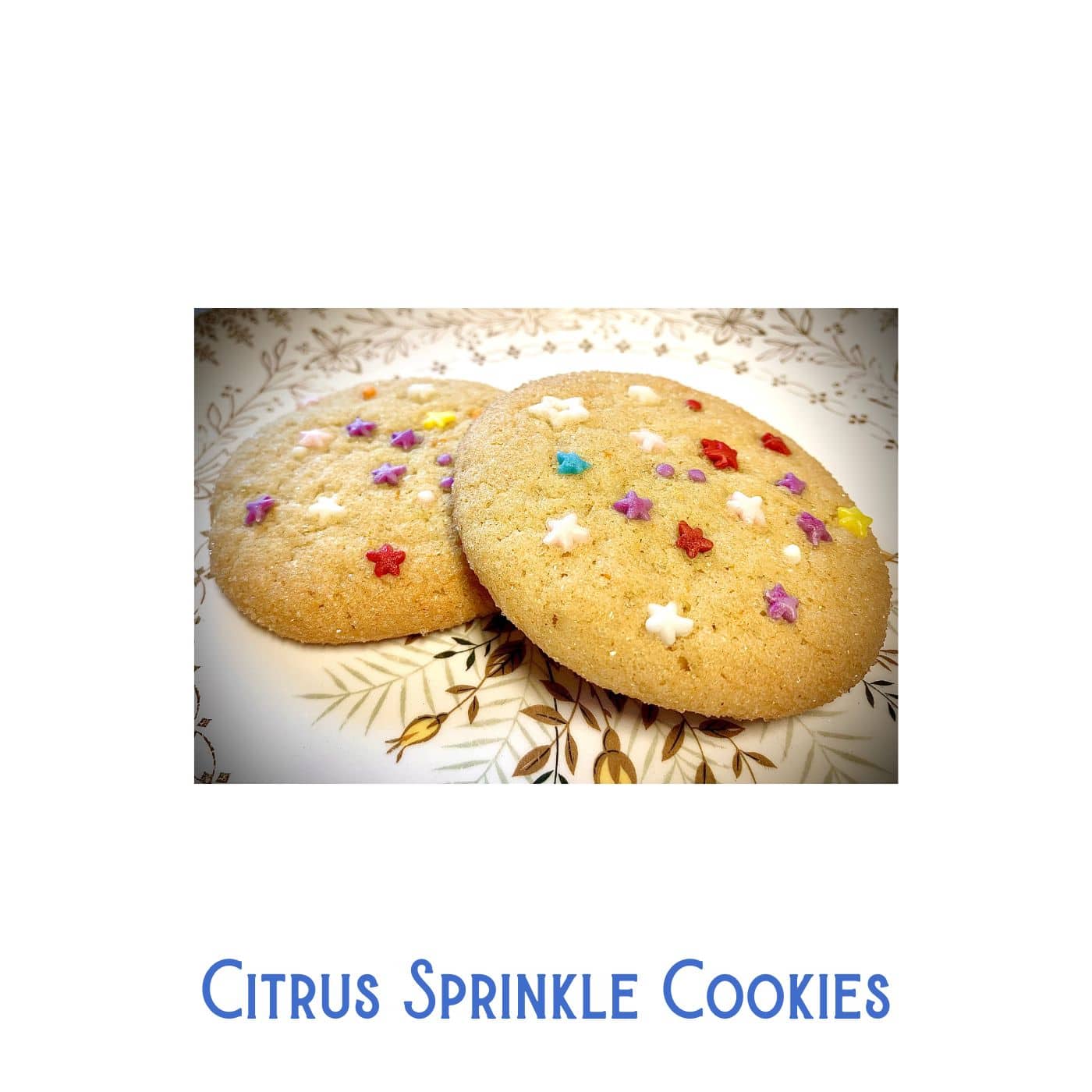 Bellatrix Bakery Citrus Sprinkle Cookies
